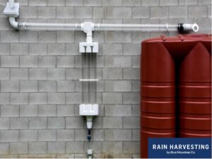 Rainwater Harvesting 101