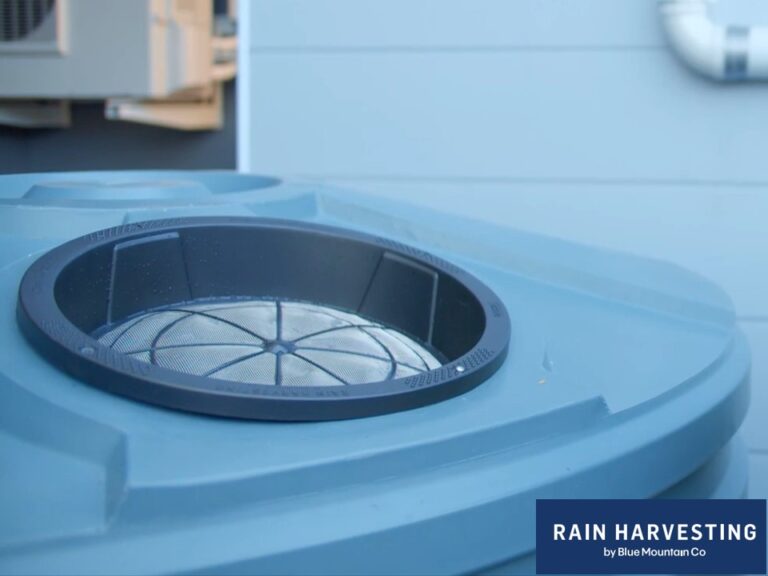 Rainwater Harvesting 101