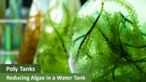 Poly Tanks | Reducing Algae in a Water Tank