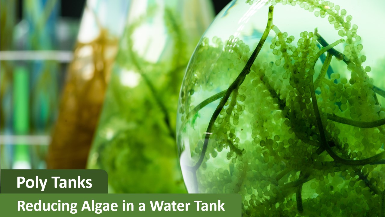 Poly Tanks | Reducing Algae in a Water Tank