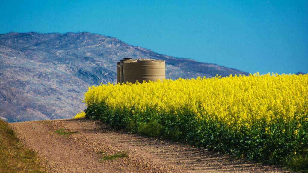 Water Tank Buying Guide