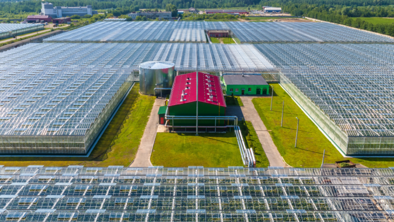 Rainwater Harvesting for Commercial Businesses and Beyond: A Green ...