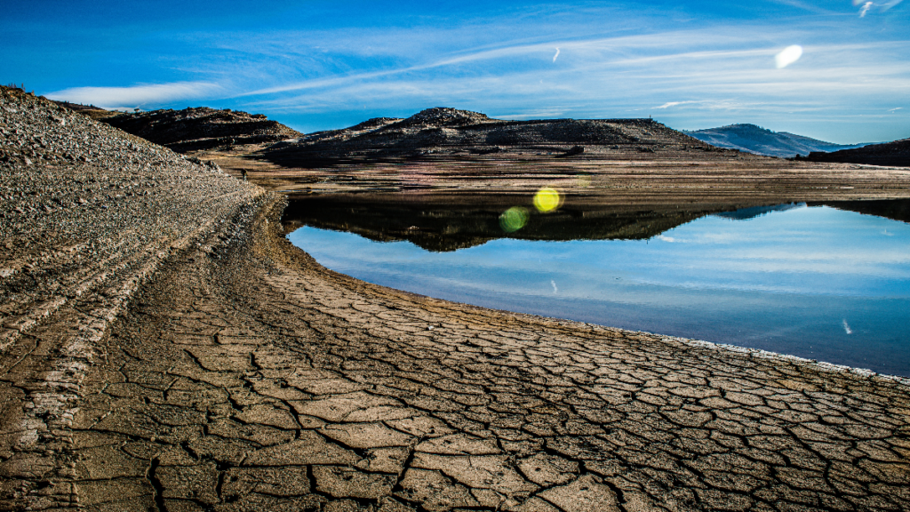 Rainwater Harvesting for Commercial Businesses and Beyond: A Green ...