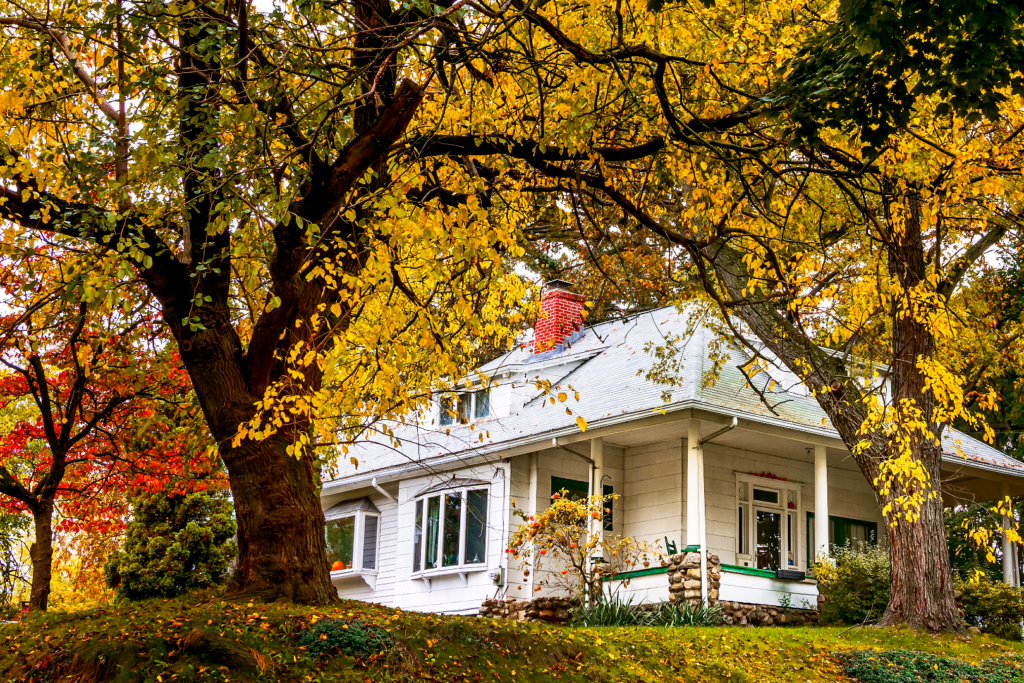 Connecticut Septic Tank Requirements | Subsurface Sewage Disposal System