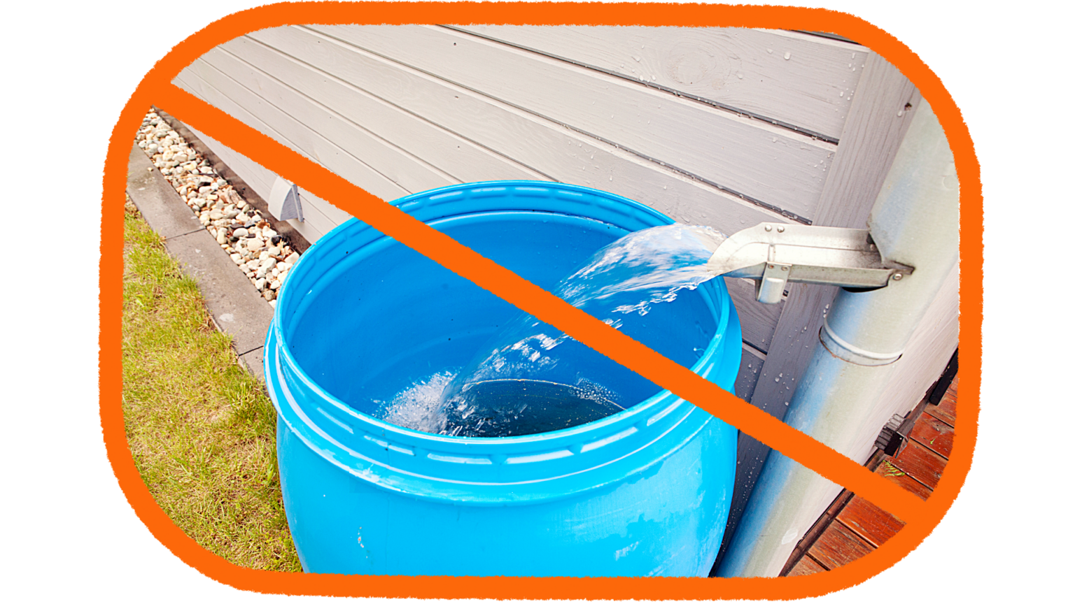 The Best Rainwater Harvesting Tank for Beginners