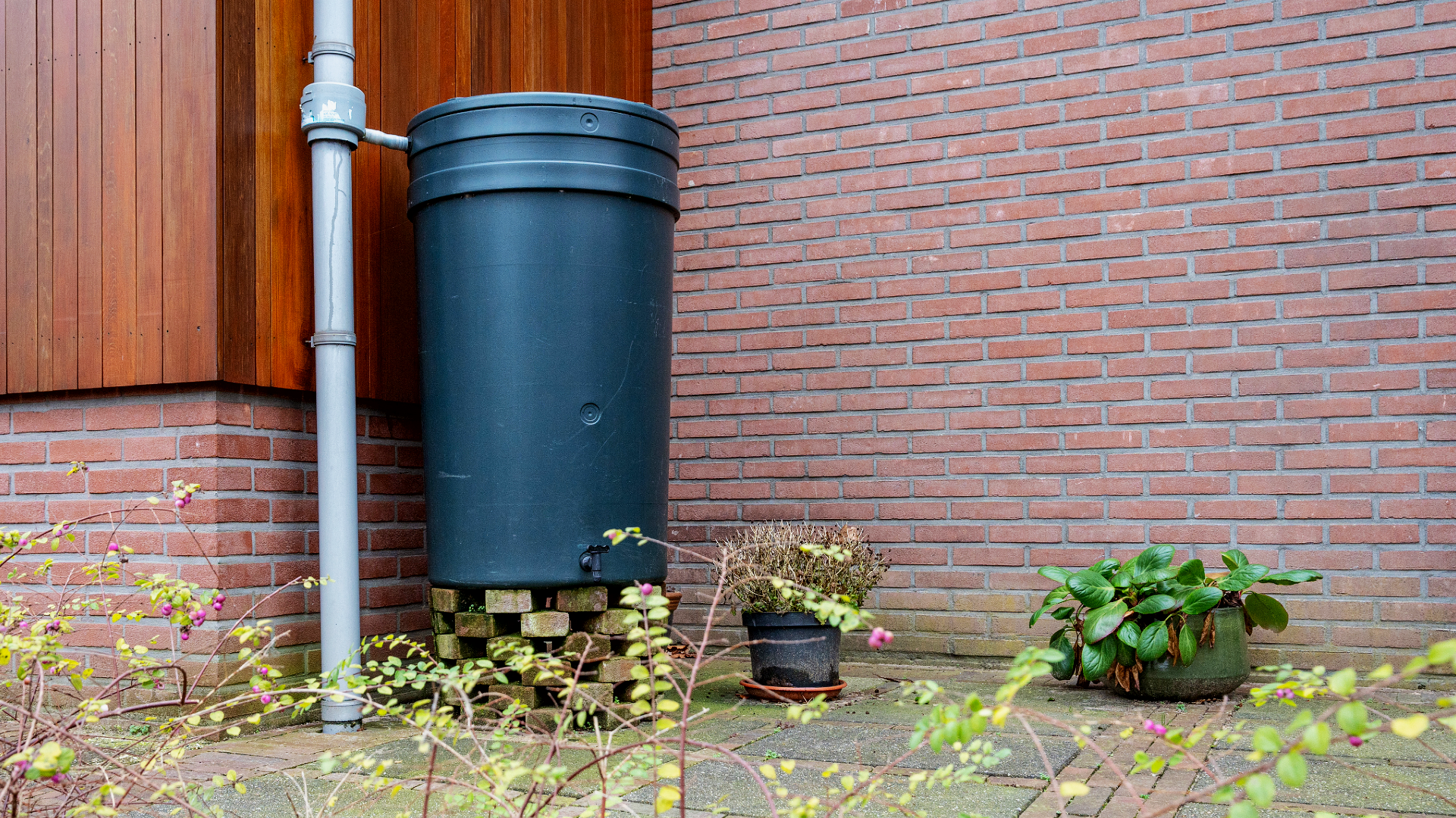 The Best Rainwater Harvesting Tank for Beginners